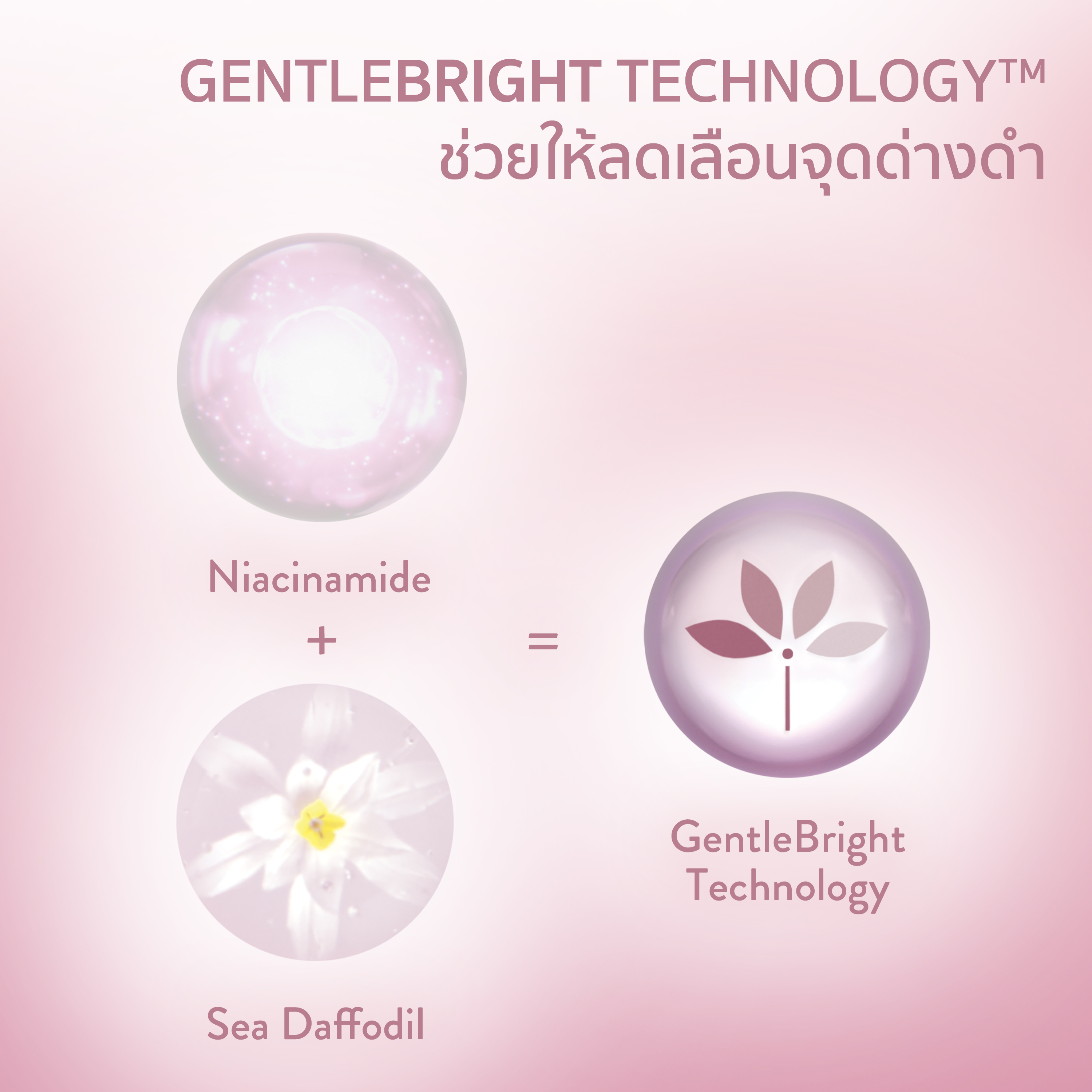Compre Cetaphil Bright Healthy Radiance Brightness Reveal Creamy ...